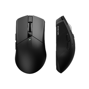 MOUSE – EWEADN