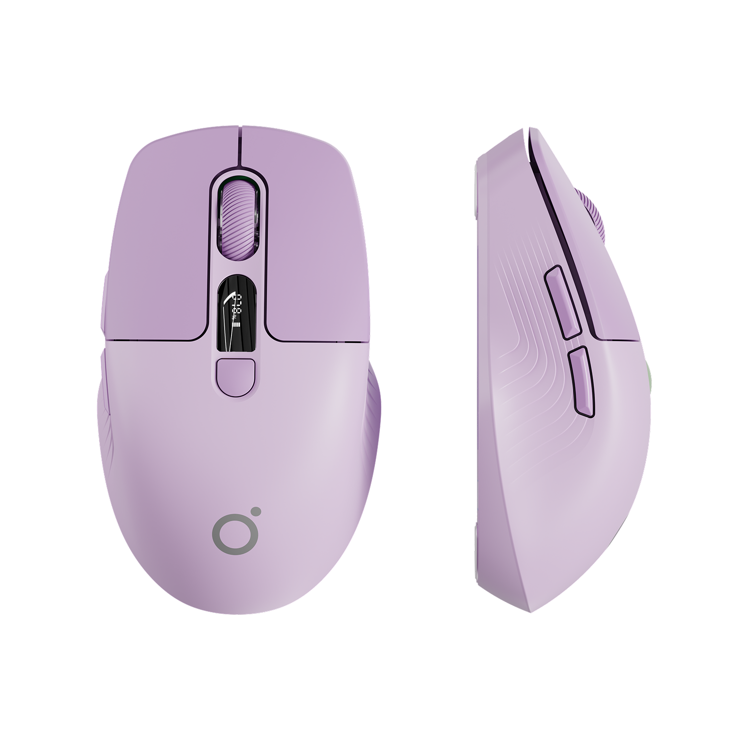MOUSE – EWEADN