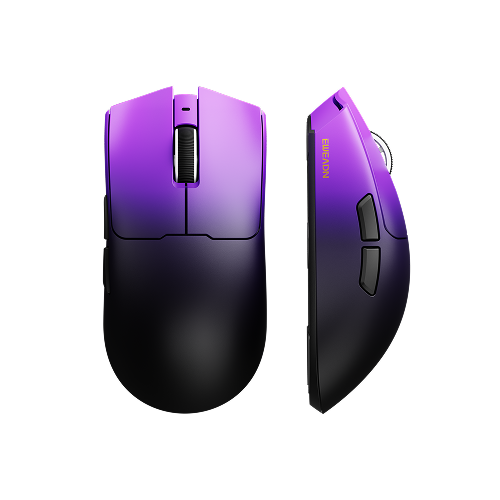 GAMING SERIES – EWEADN