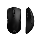 MOUSE – EWEADN